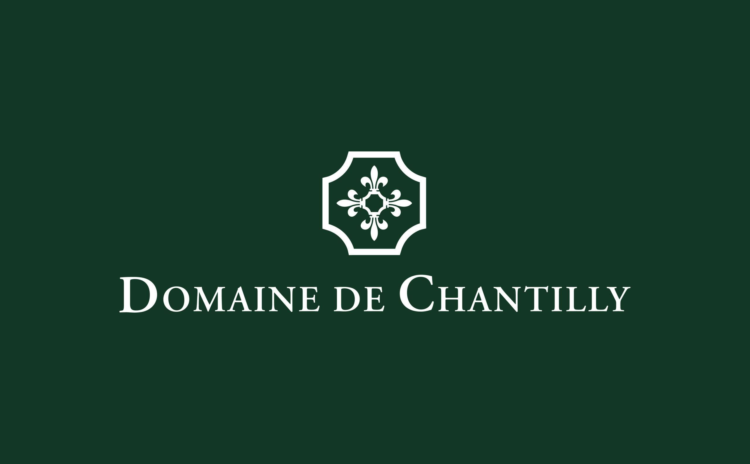 Château de Chantilly - Sabir